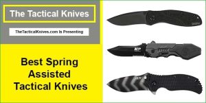 7 Best Spring Assisted Tactical Knives in 2025 - TheTacticalKnives